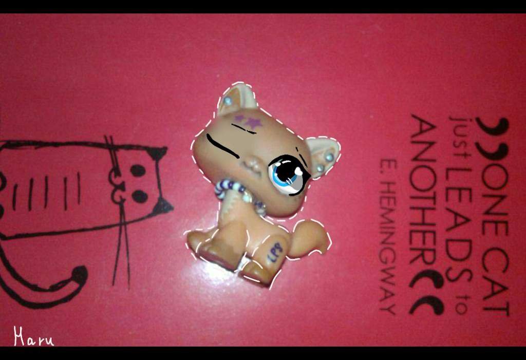 Цены☕ | Wiki | ♡~ЧуДеСнАя· ·СтРаНа· ·LPS~♡ Amino
