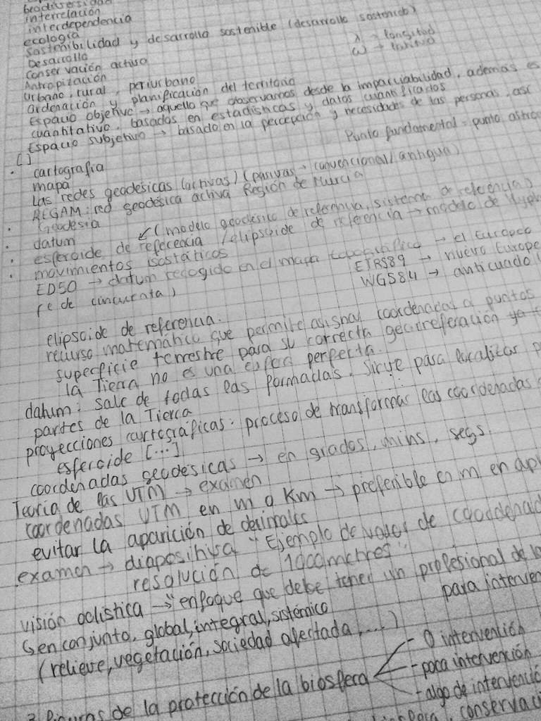 How To Take Notes At Class lectures Studying Amino Amino