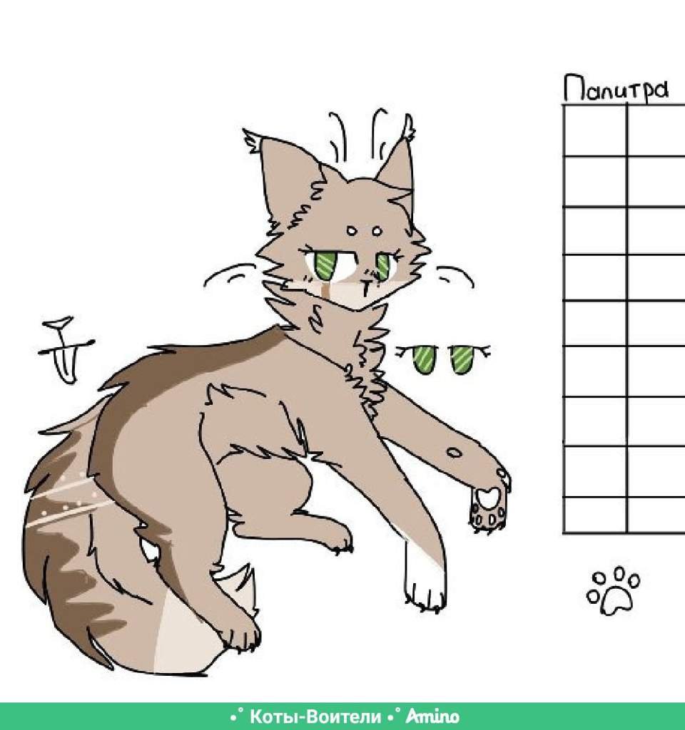 Анкета | Wiki | °•~~~{Коти Воители}~~~•° Amino