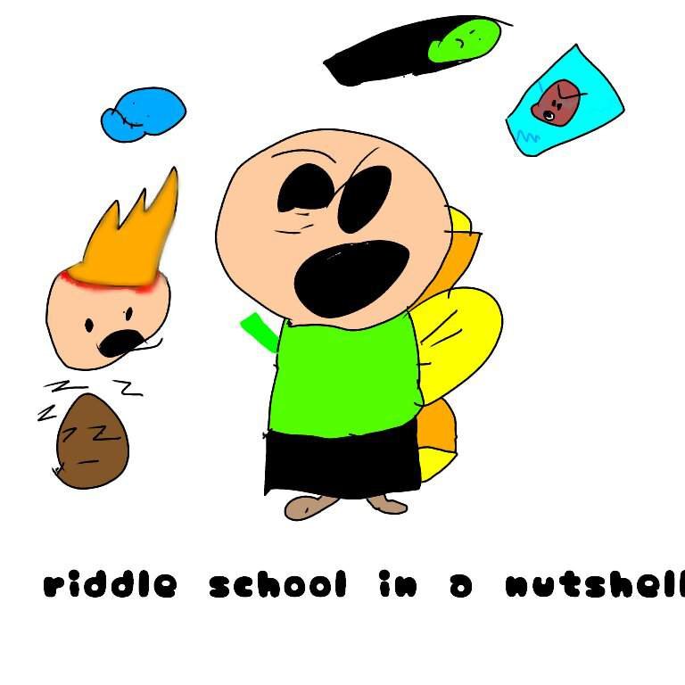 Riddle School In A Nutshell Riddle School Amino Amino