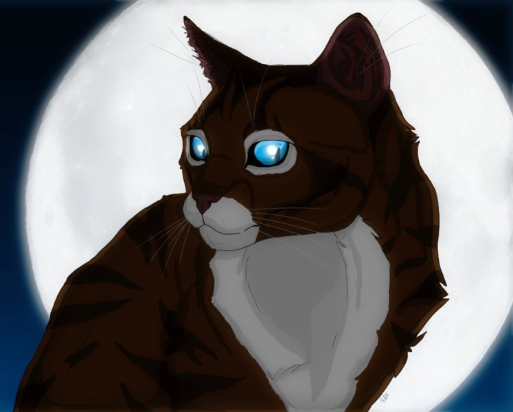 Известные Воители | Wiki | Коты Воители [RUS] 🐱 Amino