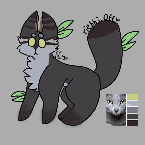 Тень||~°• | Wiki | ^~^Коты-Воители^~^ Amino