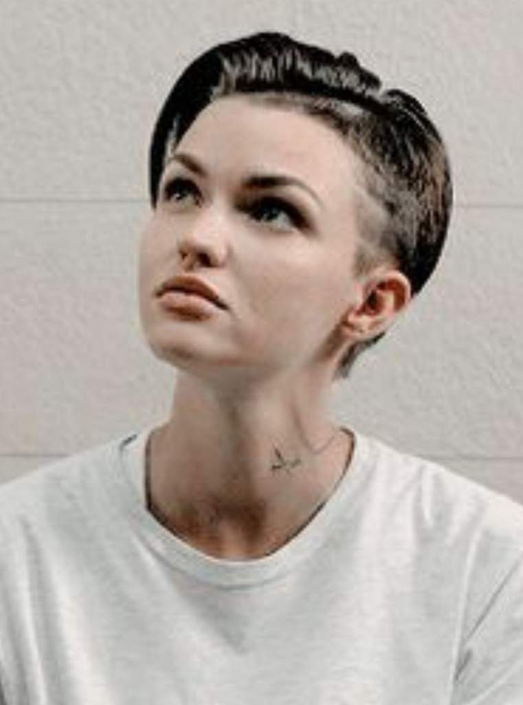 Harley Wiki Supernatural Amino harley-wiki-supernatural-amino