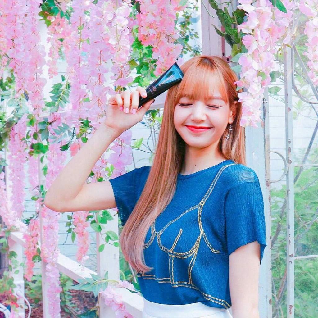 Lisa Wiki Blink 블링크 Amino