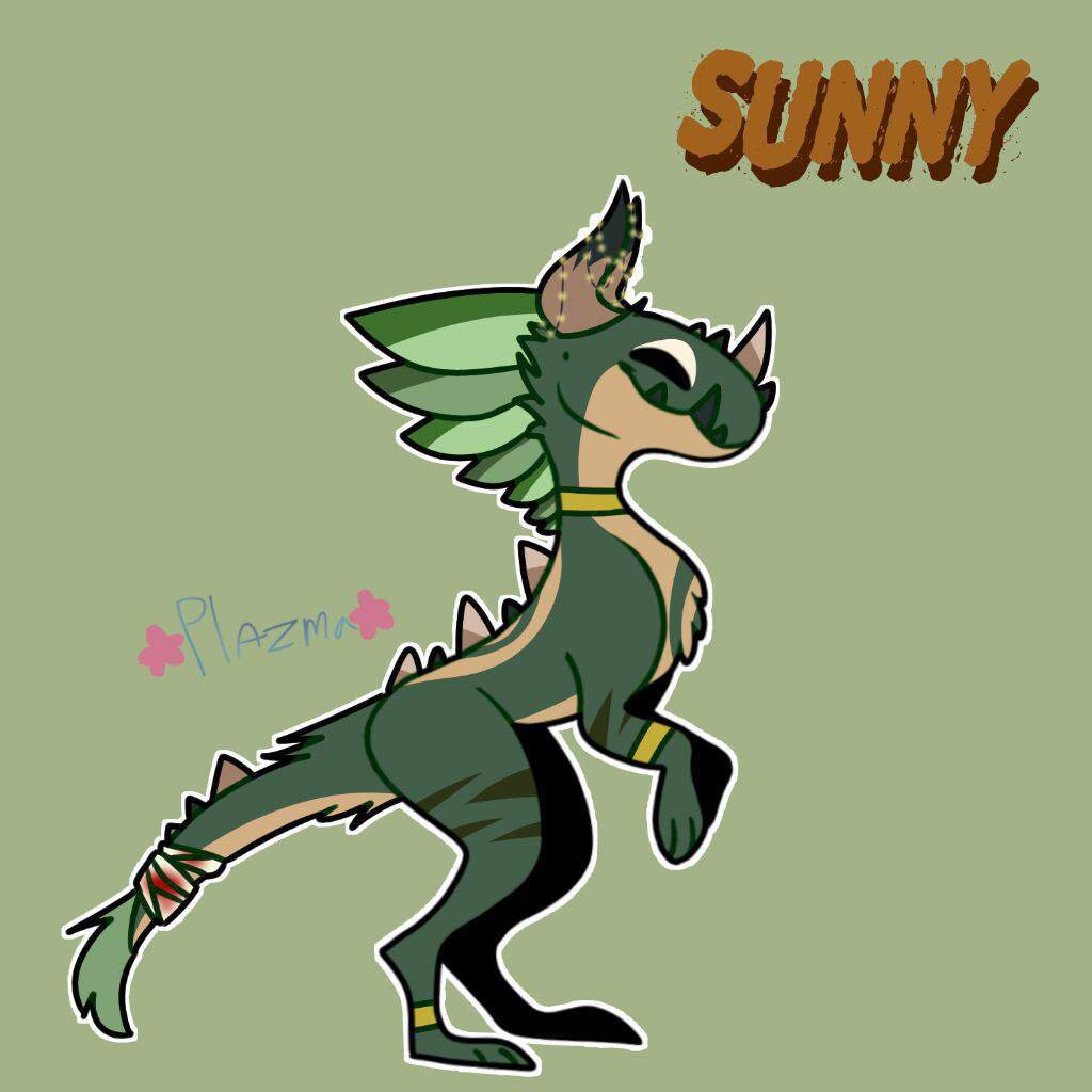 Sunny | Wiki | Mochi Raptors Amino
