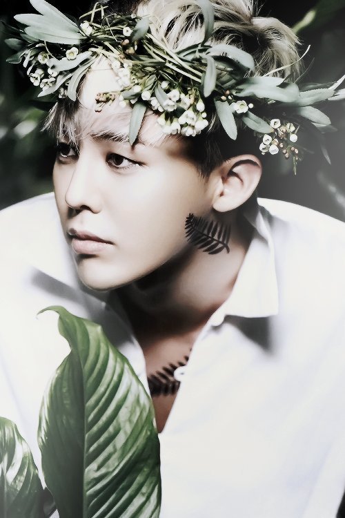 Джиен и я поздравляем вас с Днем земли 🌿🌎 ️ | 👑G-DRAGON_King K-pop👑🇷🇺 Amino