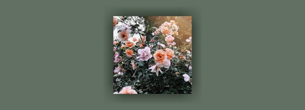 Short Flower Bio Temp Wiki S mply Aesthet c Amino Short Flower Bio Temp Wiki S mply Aesthet c Amino