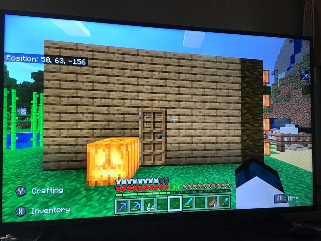 my-minecraft-world-minecraft-amino