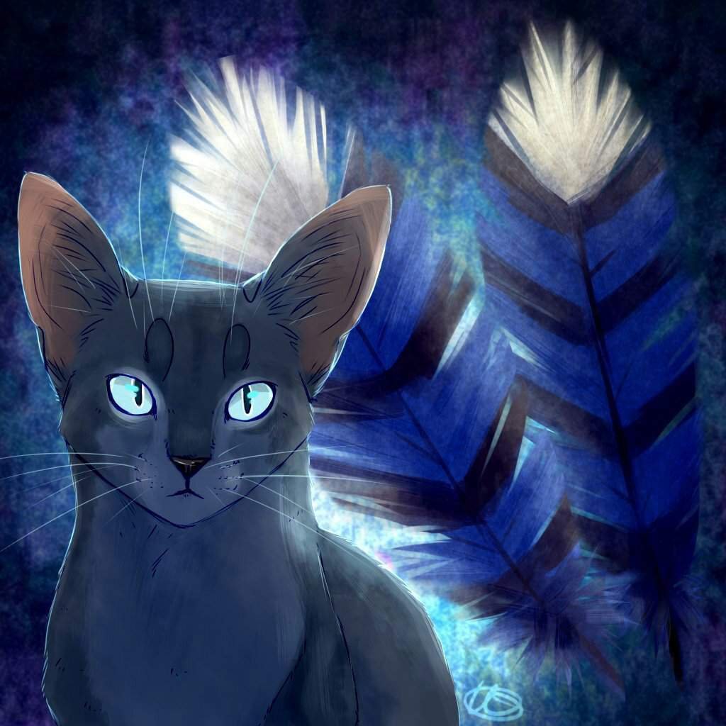 Хронологический порядок книг | Wiki | Коты-Воители • Амино Amino