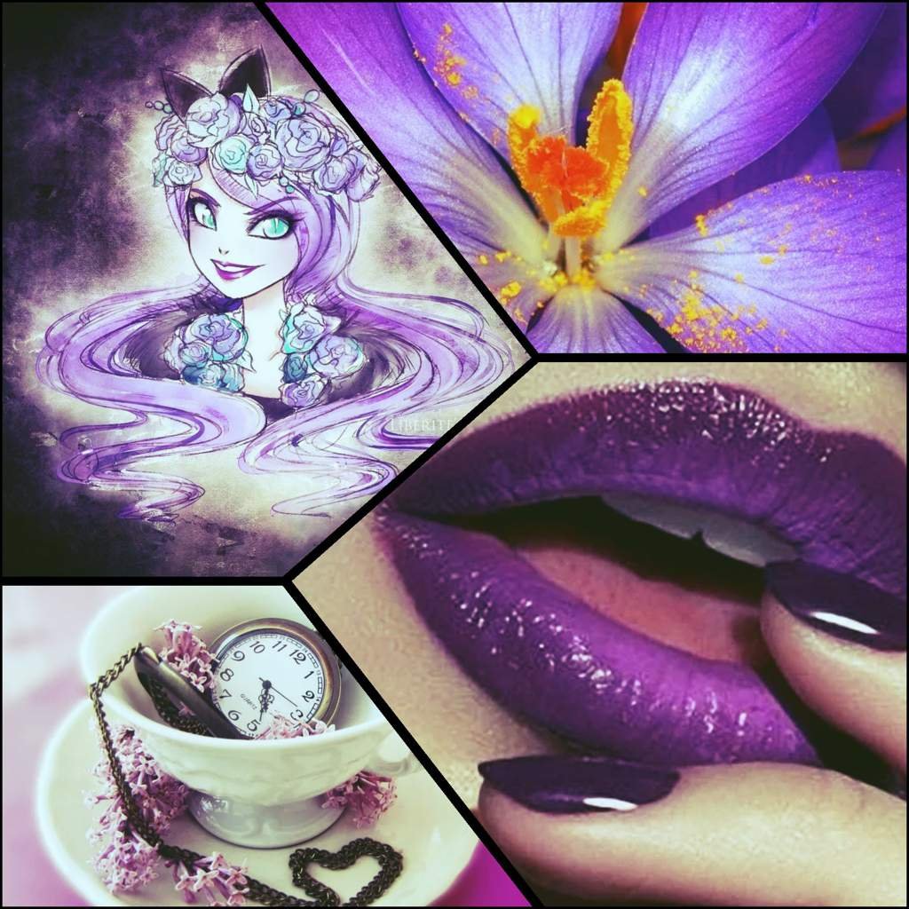 Коллаж Кити Чешир 🍇🐈 | Эвер Афтер Хай/Ever After High Amino