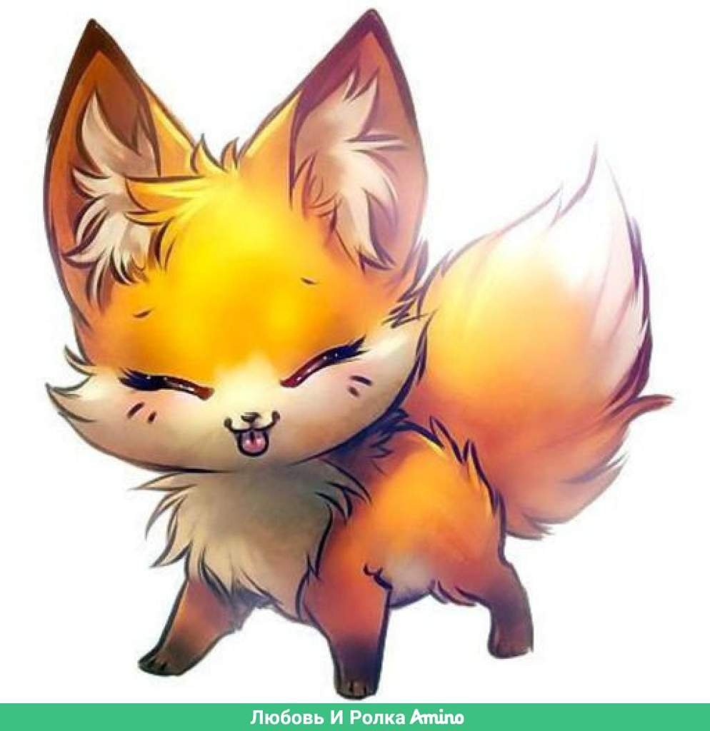 Анкета ( ужасная) | Wiki | Кицуне Amino