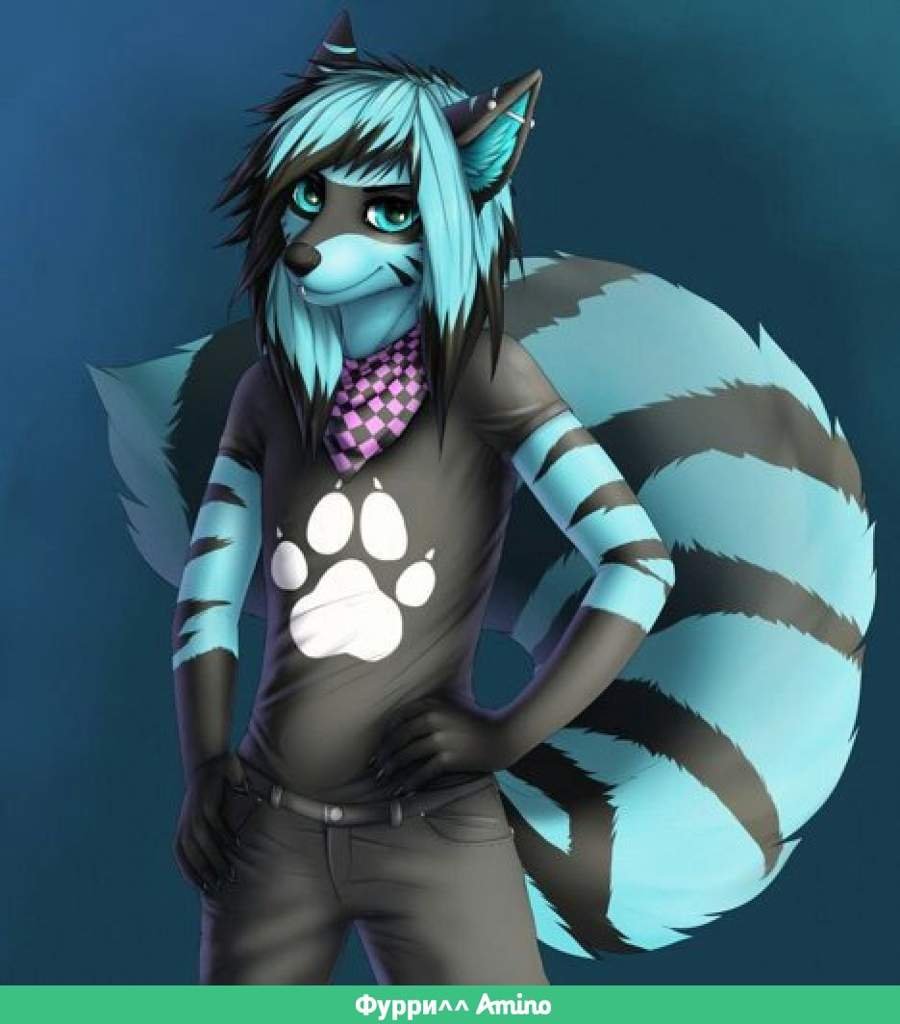 Анкета | Wiki | Фурри^^ Amino