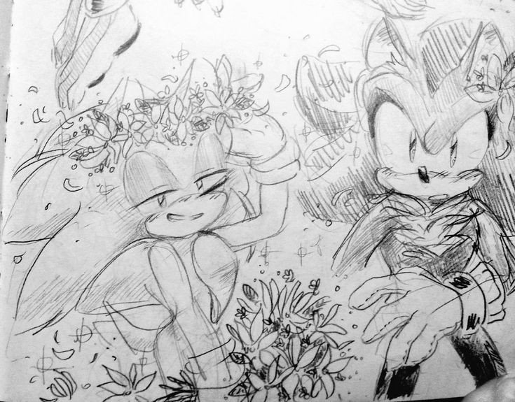 Sonadow Amino