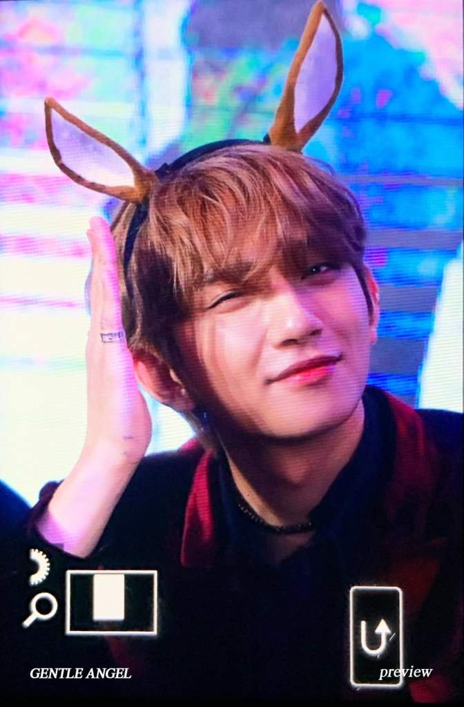 Shua Carat Amino shua-carat-amino