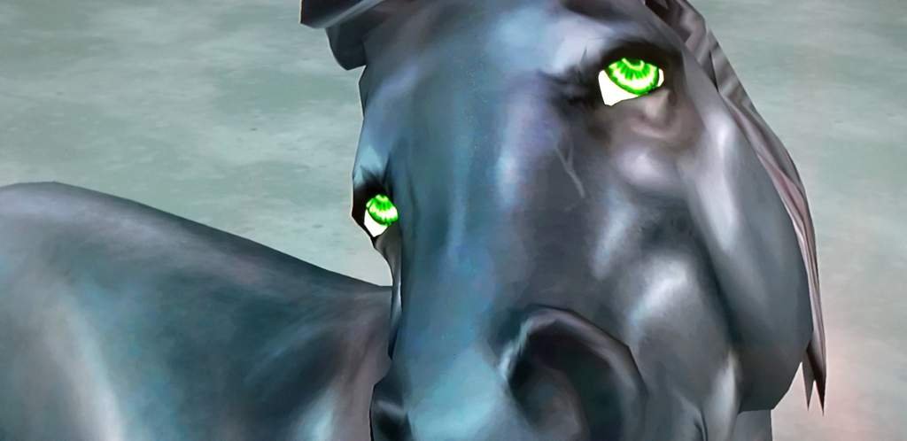 SSO Being Funny For Like A Minute Part 1 Star Stable Online Amino sso-being-funny-for-like-a-minute-part-1-star-stable-online-amino