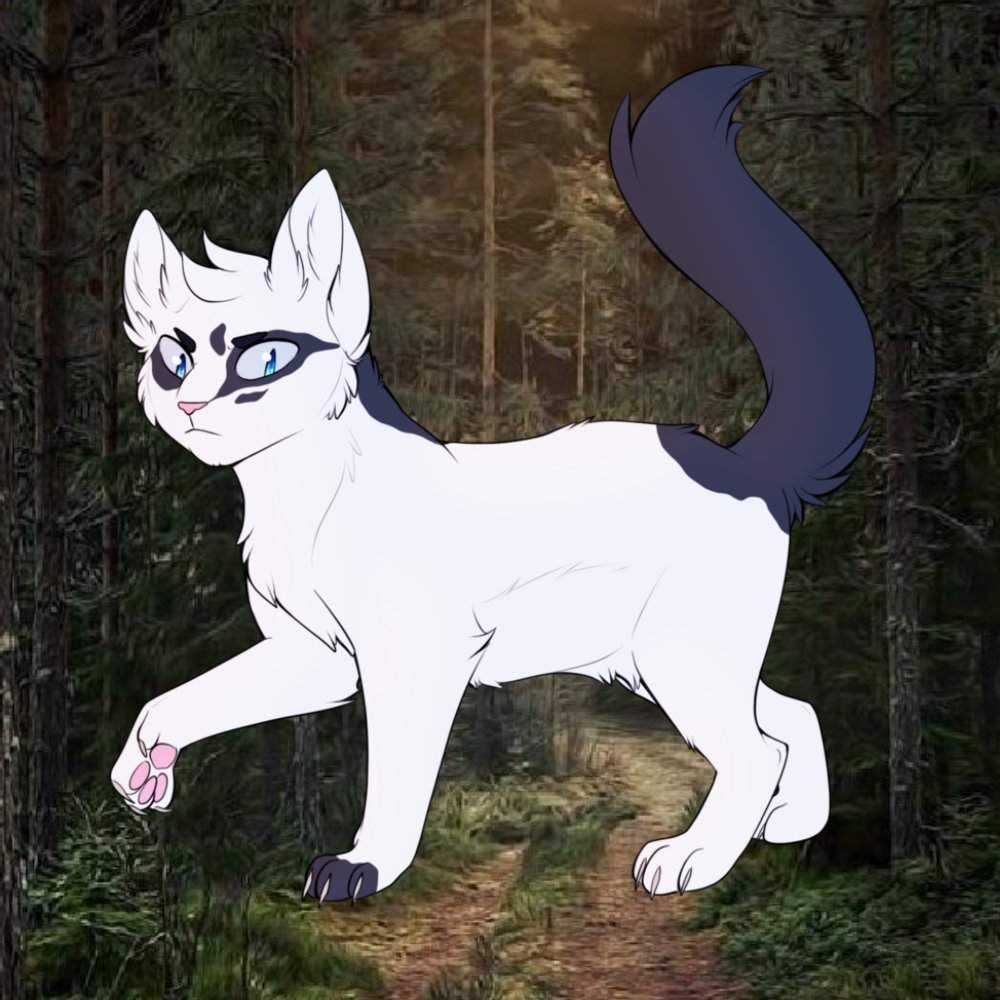 Анкета 2 ос | Wiki | 🧡~Коты Воители~🧡 Amino