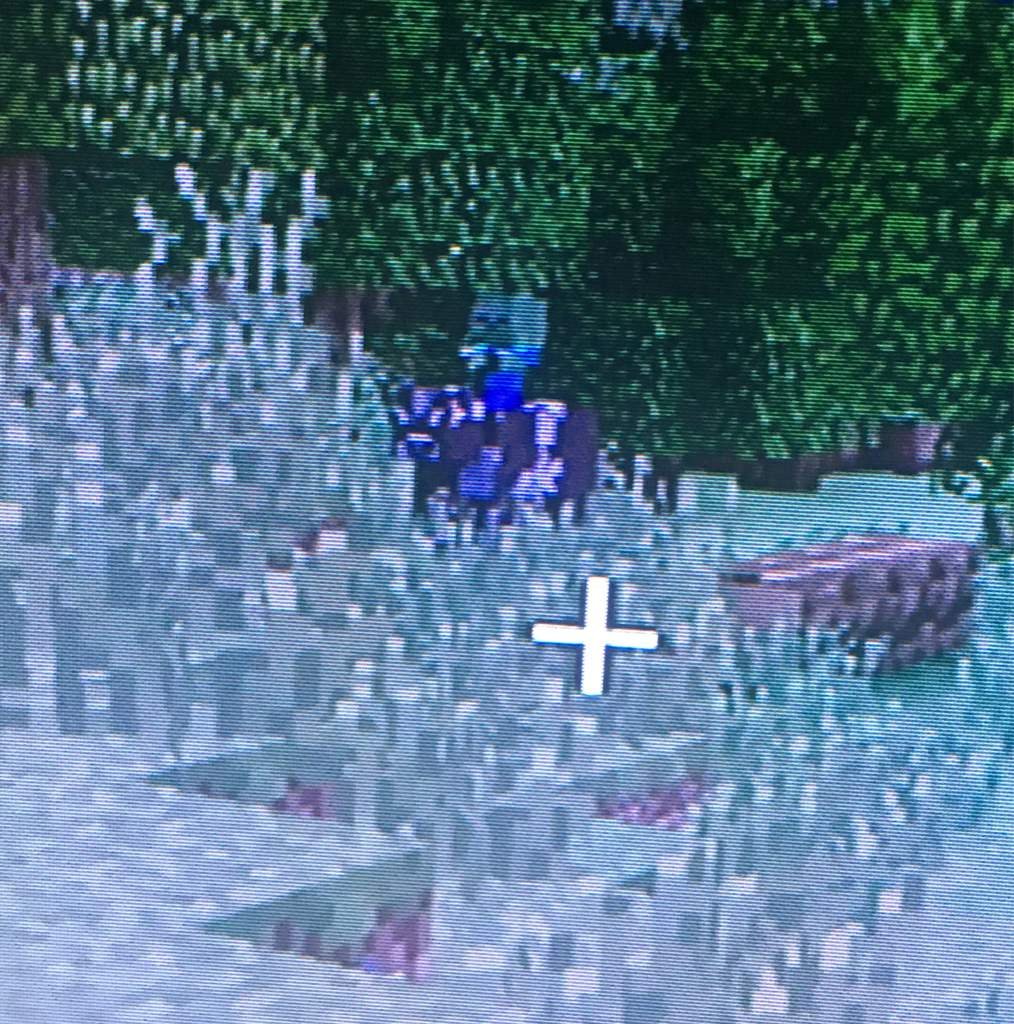 Omg Minecrafts Rarest Mob Minecraft Amino