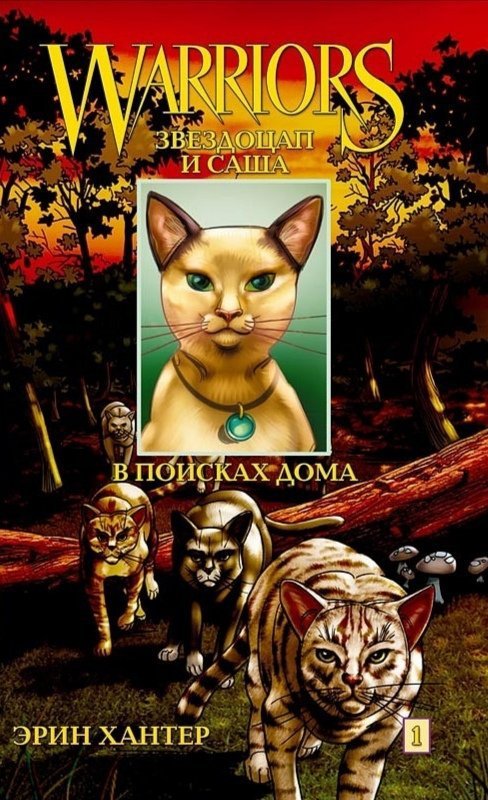 Манга Коты-Воители "Звездоцап и Саша: В поисках дома" | Лᴀʙᴀʜдᴏʙᴀя ...