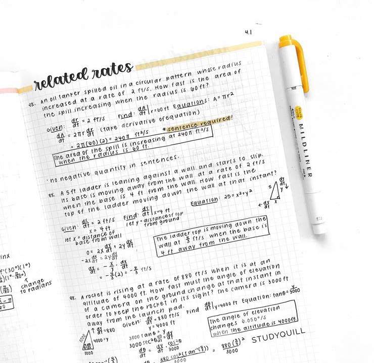 Aesthetic Notes Guide Studying Amino Amino