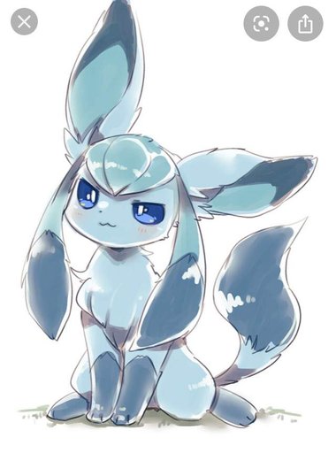 Glaceon Wiki Pokémon Rpers Amino Amino