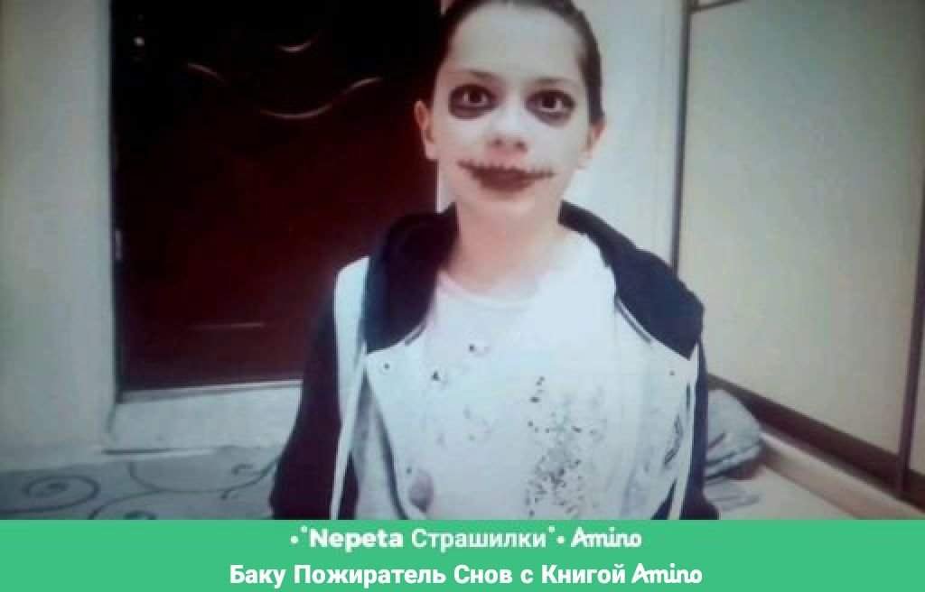 Баку пожиратель снов | Баку Пожиратель Снов с Книгой Amino