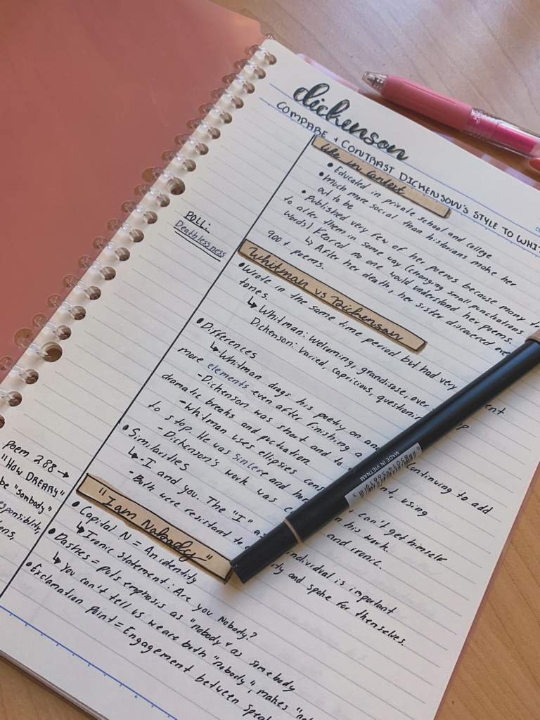 Lecture Notes Studying Amino Amino