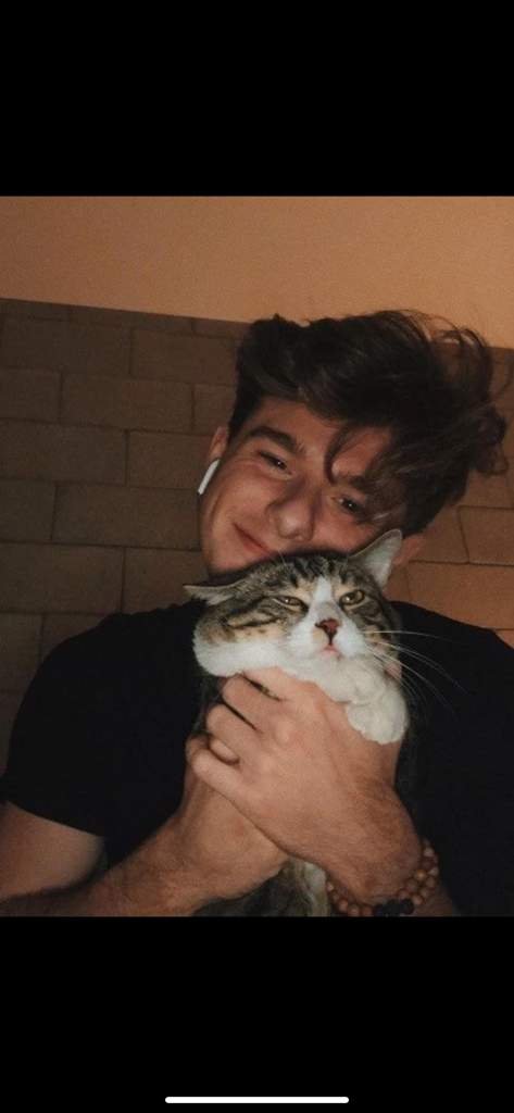 𝙰𝚙𝚘𝚕𝚕𝚘 ♡ | Wiki | Roleplayer's Amino Amino
