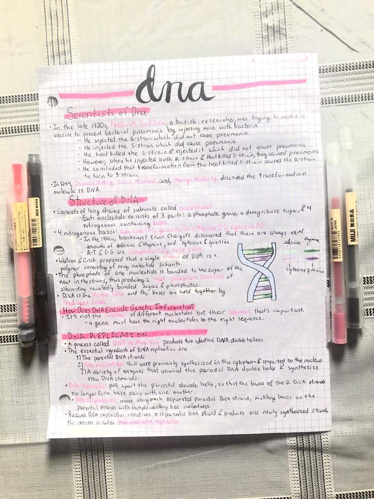 Trying To Make Aesthetic Notes Studying Amino Amino