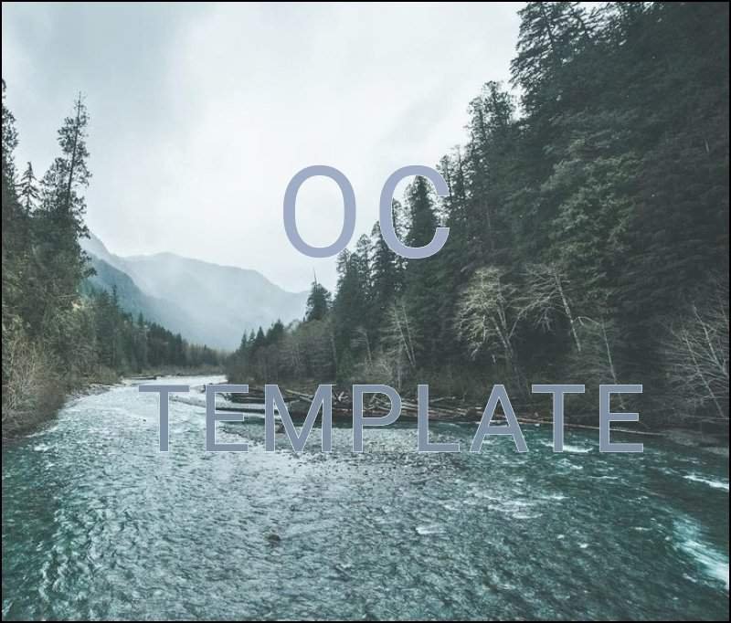 Detailed Oc Template Wiki Warriors Amino detailed-oc-template-wiki-warriors-amino