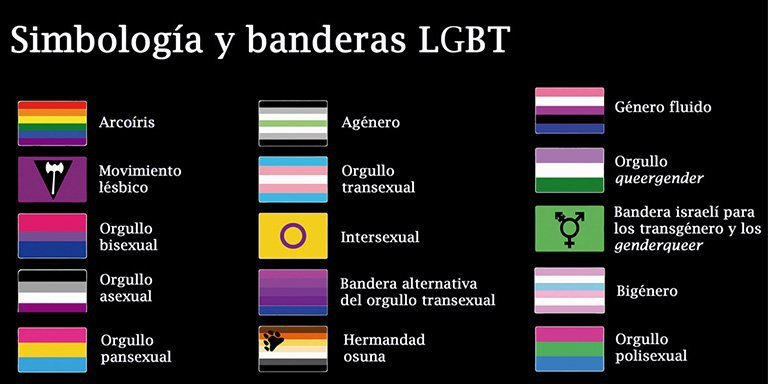 Historia De Las Banderas Lgtb Bandera Lesbiana Lgbt ♡ Amino