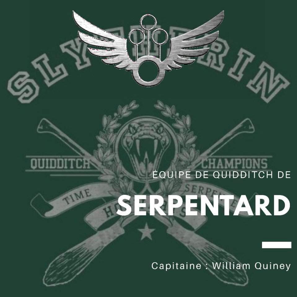 Serpentard Quidditch Wiki Poudlard Simulation Amino