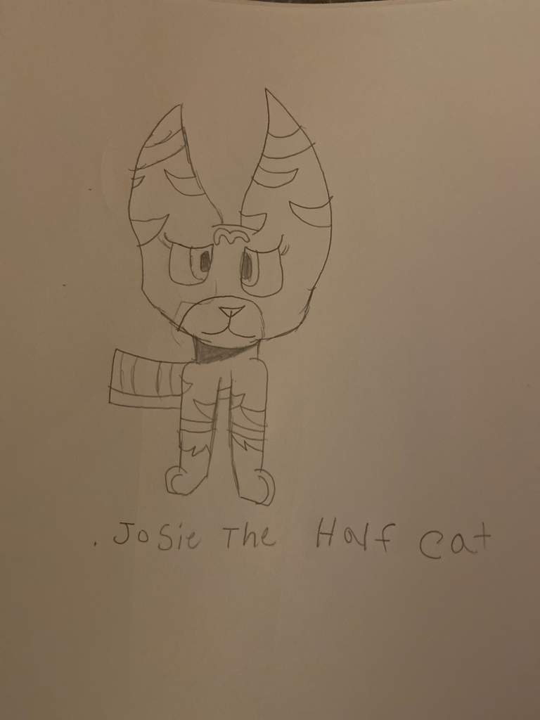 Josie The Half Cat Scp Foundation Amino