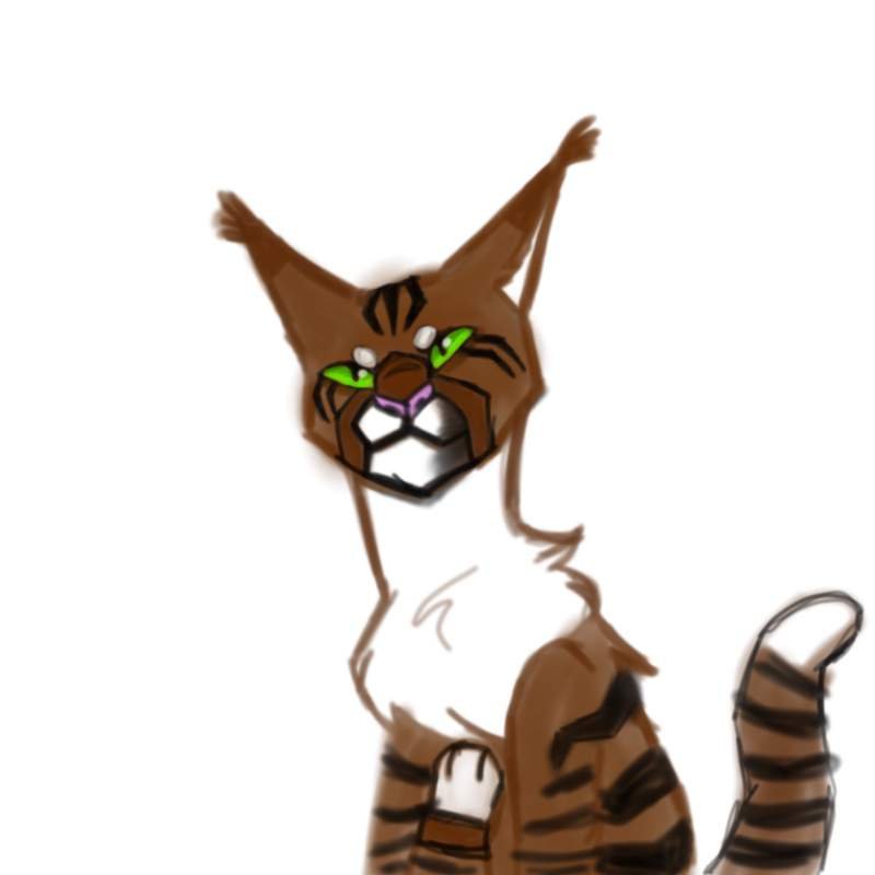 Анкета | Wiki | •° Коты-Воители •° Amino