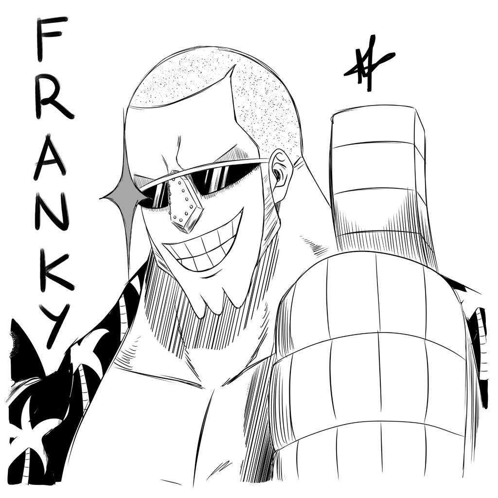 Franky Sketch One Piece Amino