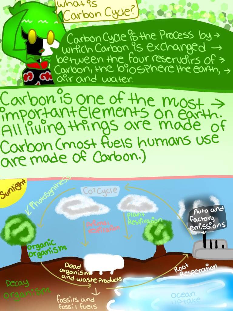 Carbon Cycle Comic Naruto Amino