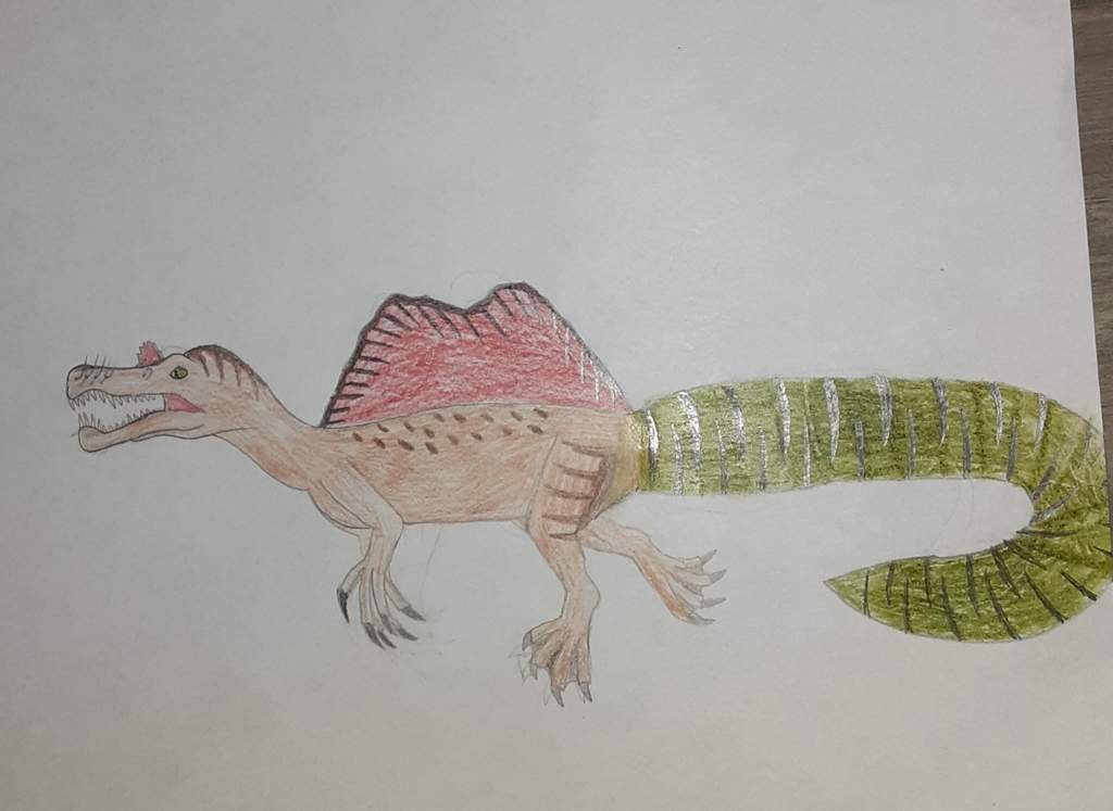 My attempt at a Scientifically Accurate Spinosaurus Aegyptiacus ... My attempt at a Scientifically Accurate Spinosaurus Aegyptiacus ...