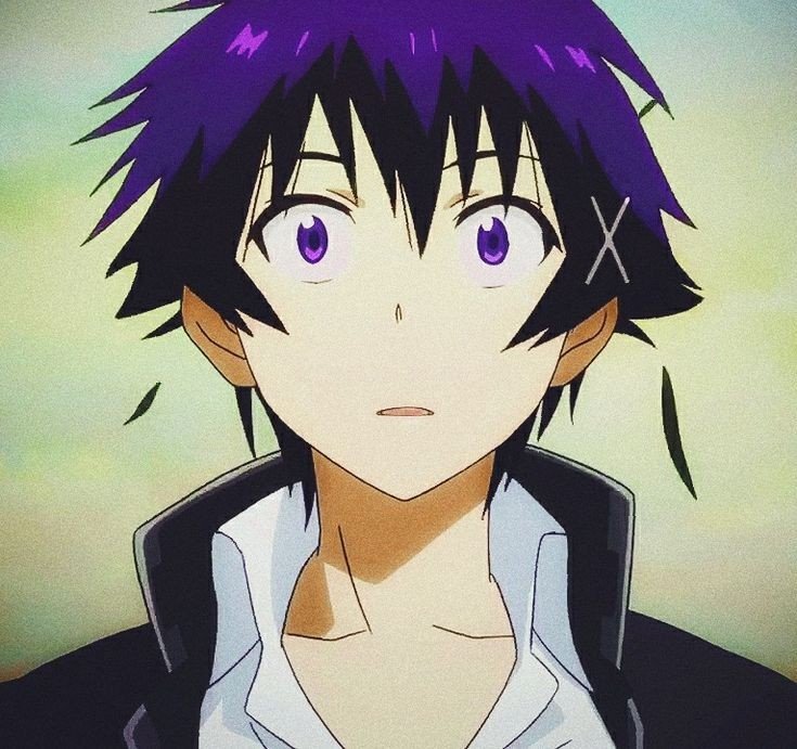 Raku Ichijou Nisekoi •anime• Amino 