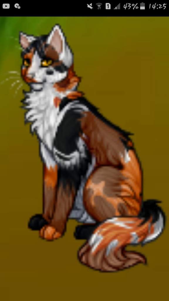 Падающий Лист Wiki ×Коты Воители × Amino