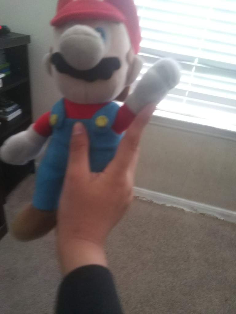Mario Animo Mario Amino