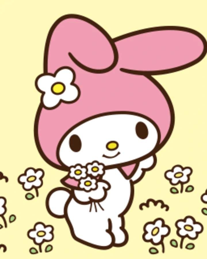 My Melody Sanrio Amino