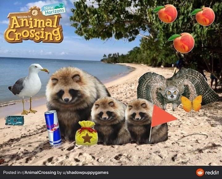 Animal Crossing [RUS] Amino