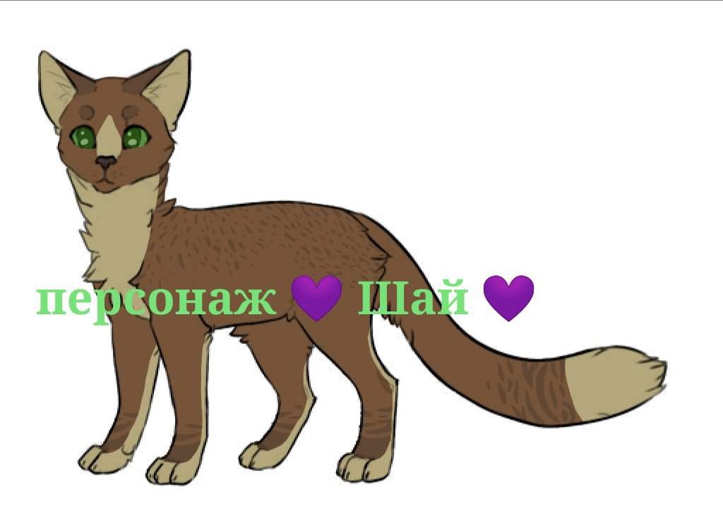 Суховей | Wiki | •° Коты-Воители •° Amino