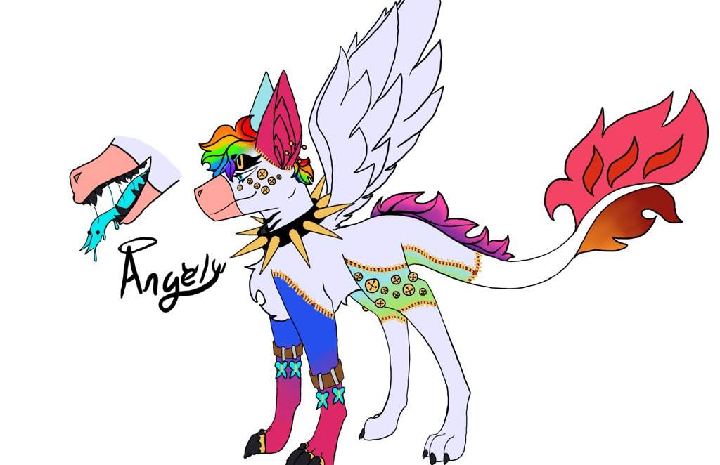 Angel Wiki Angel Dragons 🐾 Amino