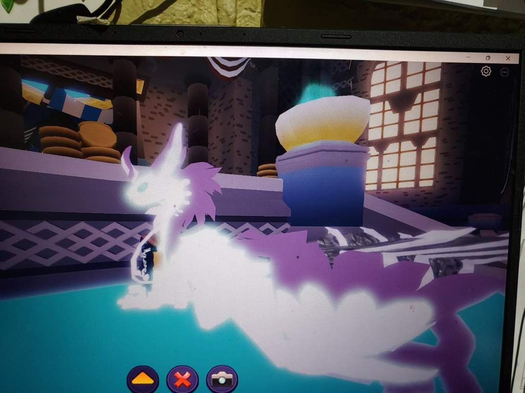 Lf Secondary Material Potions Roblox Dragon Adventures Amino