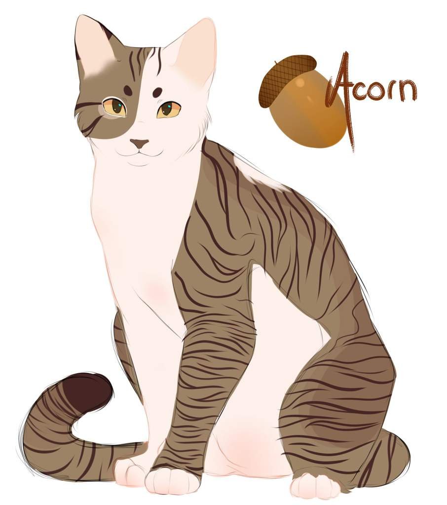 Open For Iconspfp Commissions Warriors Amino
