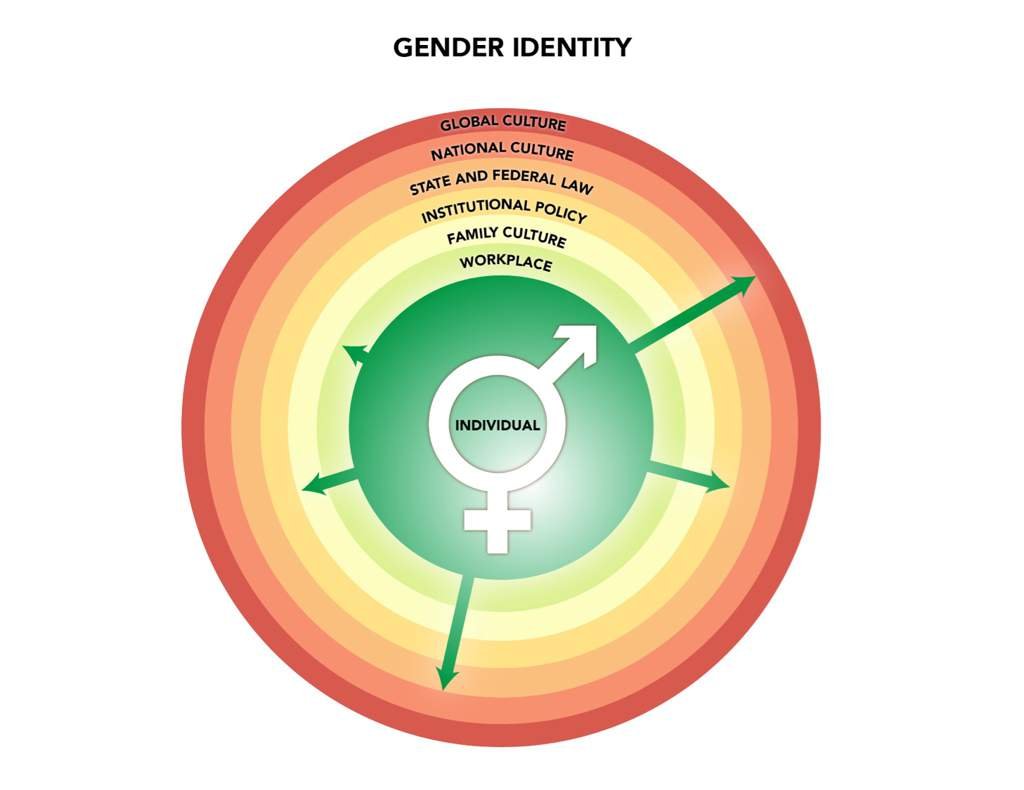 Gender Theory And Social Constructivism Debate Amino