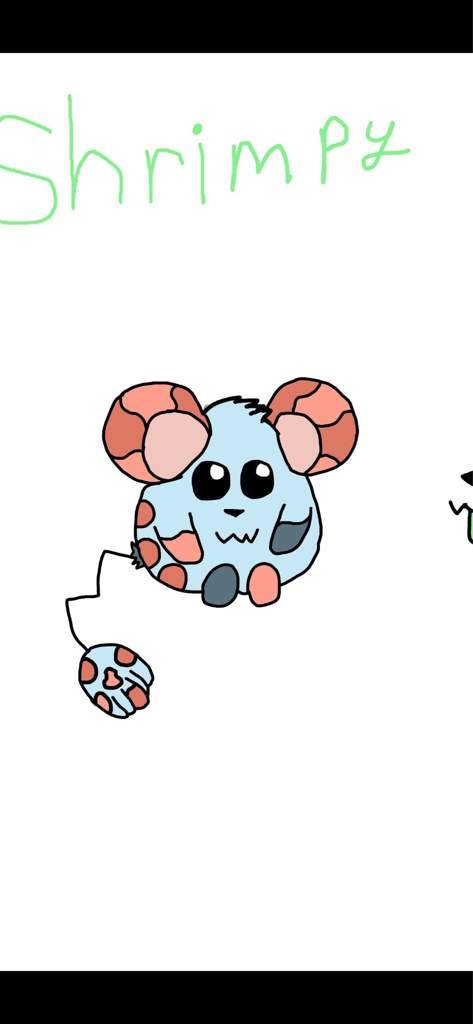 Shrimpy Marill Wiki Pokémon Amino