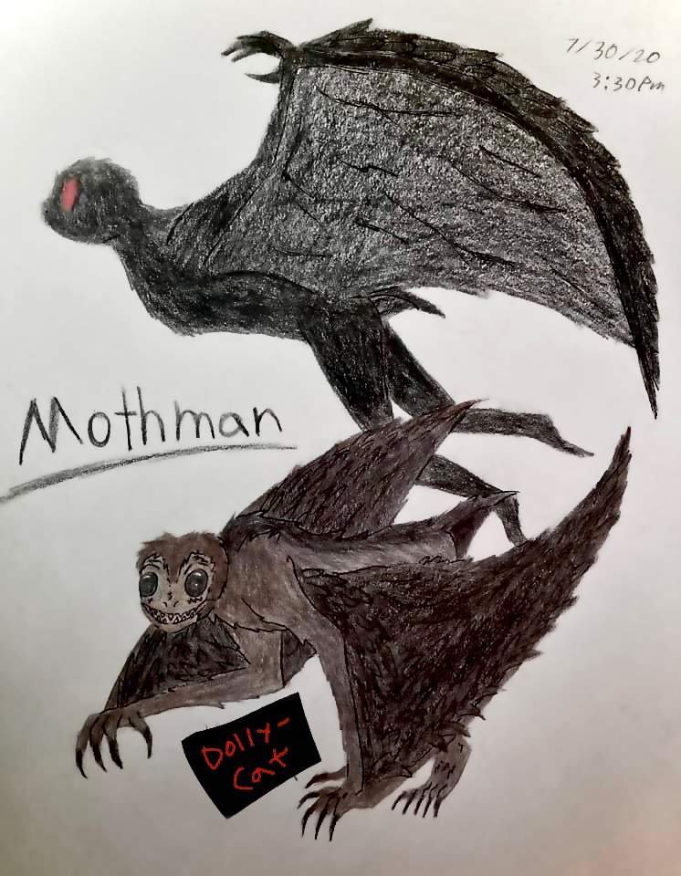 Dark and Daylight Mothman | Urban Legends & Cryptids Amino