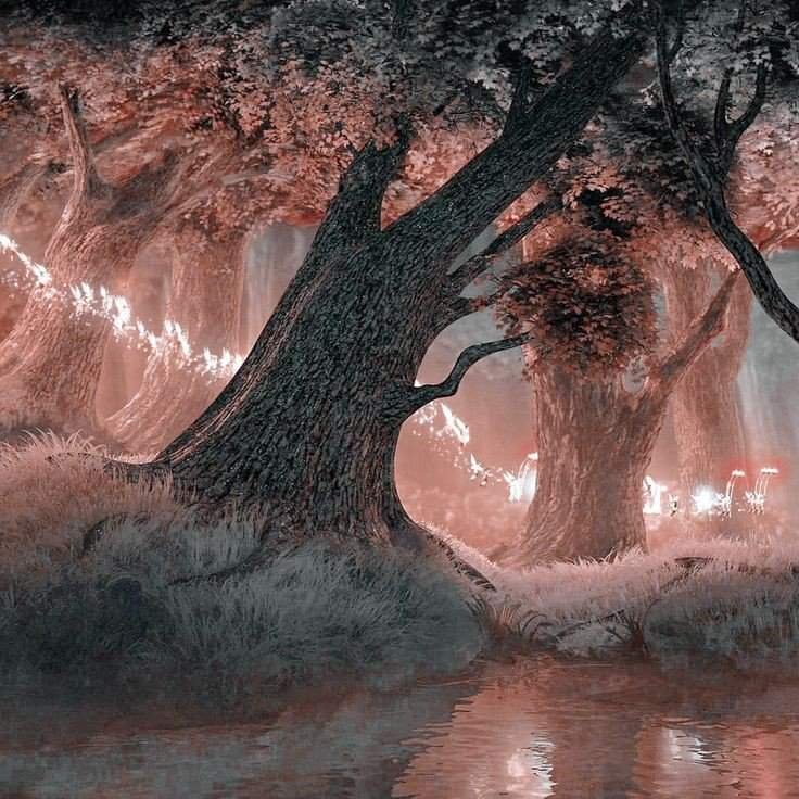 find-yourself-wiki-sanctuary-amino