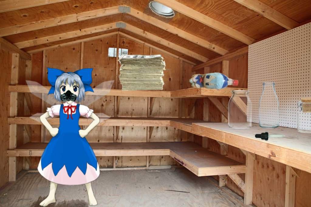 cirno's perfect meth lab | Touhou Project Amino